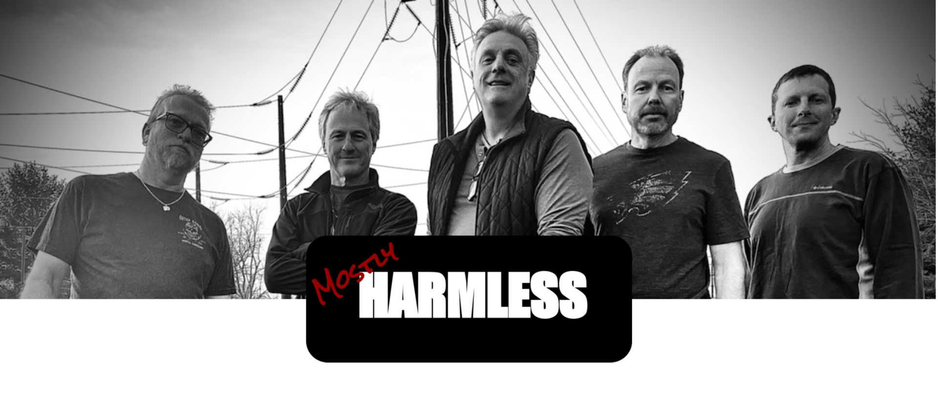 The Band – Mostly Harmless